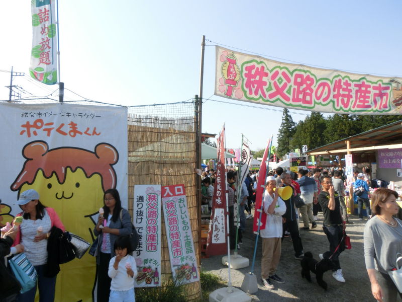 羊山公園（芝桜）、三峰神社（パワースポット） コンビネーションでいくのがおすすめ - Botuku's diary
