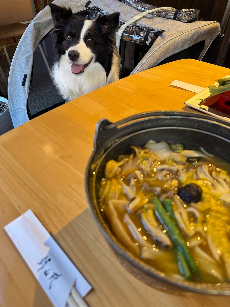 brex-cheer-brexy’s diary