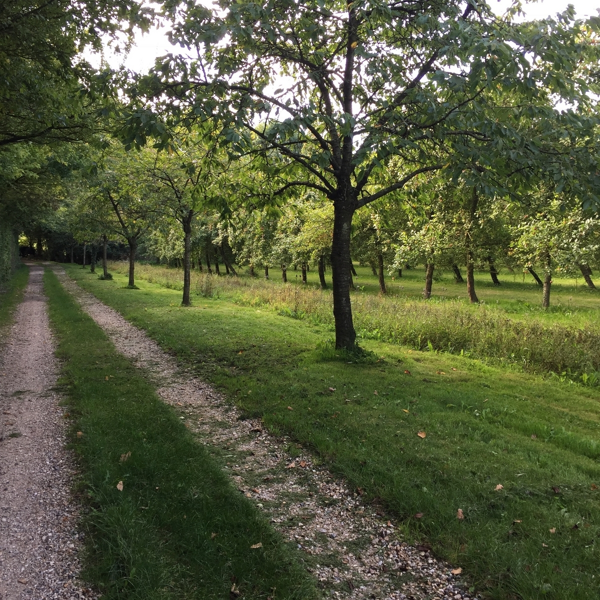 モネの家、フランス、ジベルニーの美しさは圧巻。ファームでの滞在は思い出深いものでした。 - britee’s blog