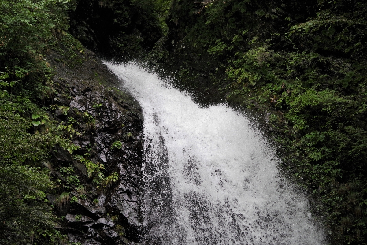 HD PENTAX-D FA 28-105mmF3.5-5.6ED DC WR Part2 - 古レンズの風に吹かれて