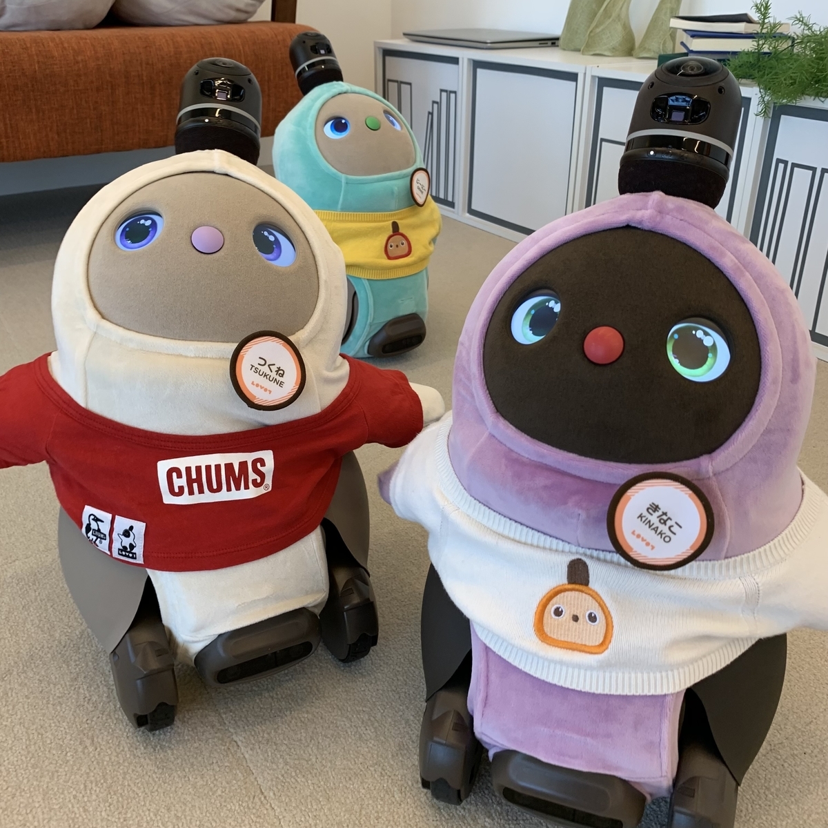 半年働いて感じたGROOVE Xの面白いところ - Inside of LOVOT