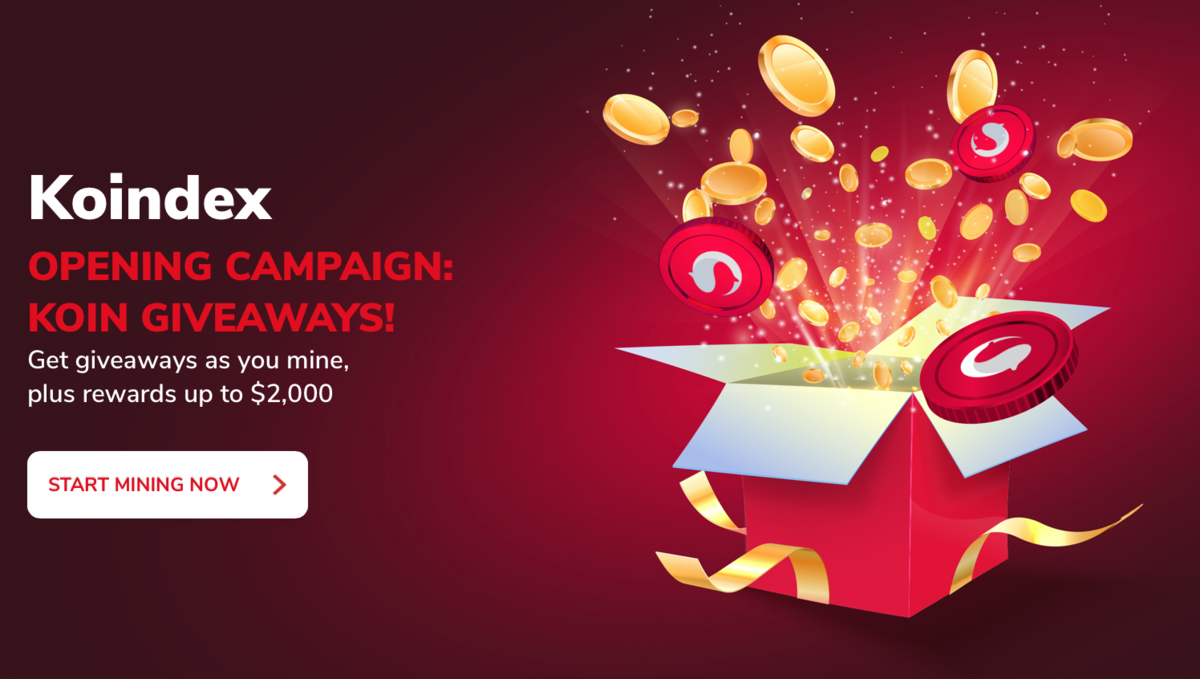 Koindex キャンペーン用資料が採用されました！ - ミーシャが教える『CROSS exchage』