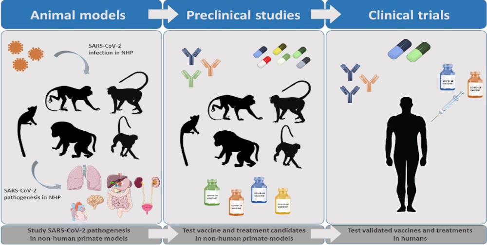 アメリカ 霊長類AI・PrimateAIは人間の病気予測を促進する - 今日の海外新聞