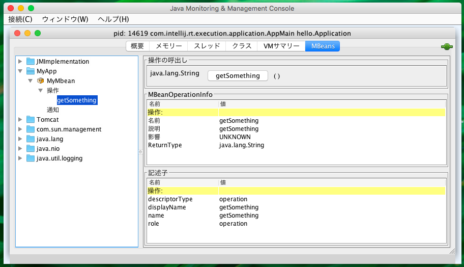 JMX を jconsole/SpringBoot で使う - /home/by-natures/dev*