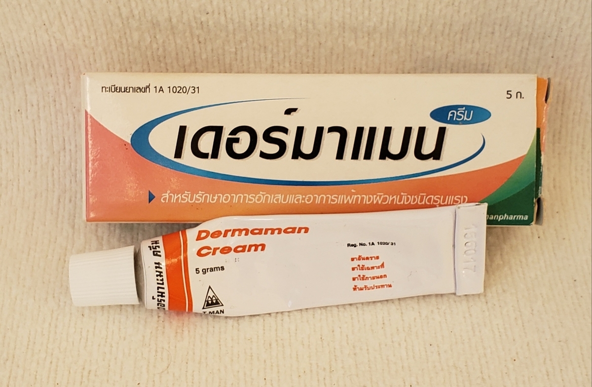 日本の夏 - チェンマイよりみちの記録