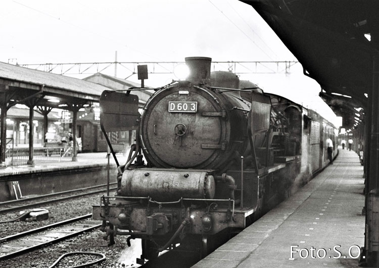 久大本線 筑紫平野を行くD60と8620 - 転轍器