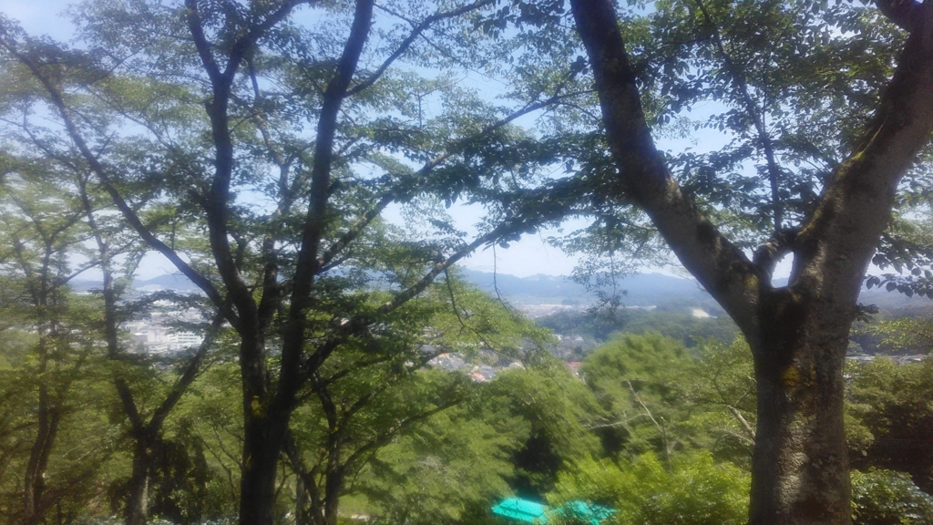 メニューいろいろ - カフェ463 ～カフェ・喫茶店～ ブログ