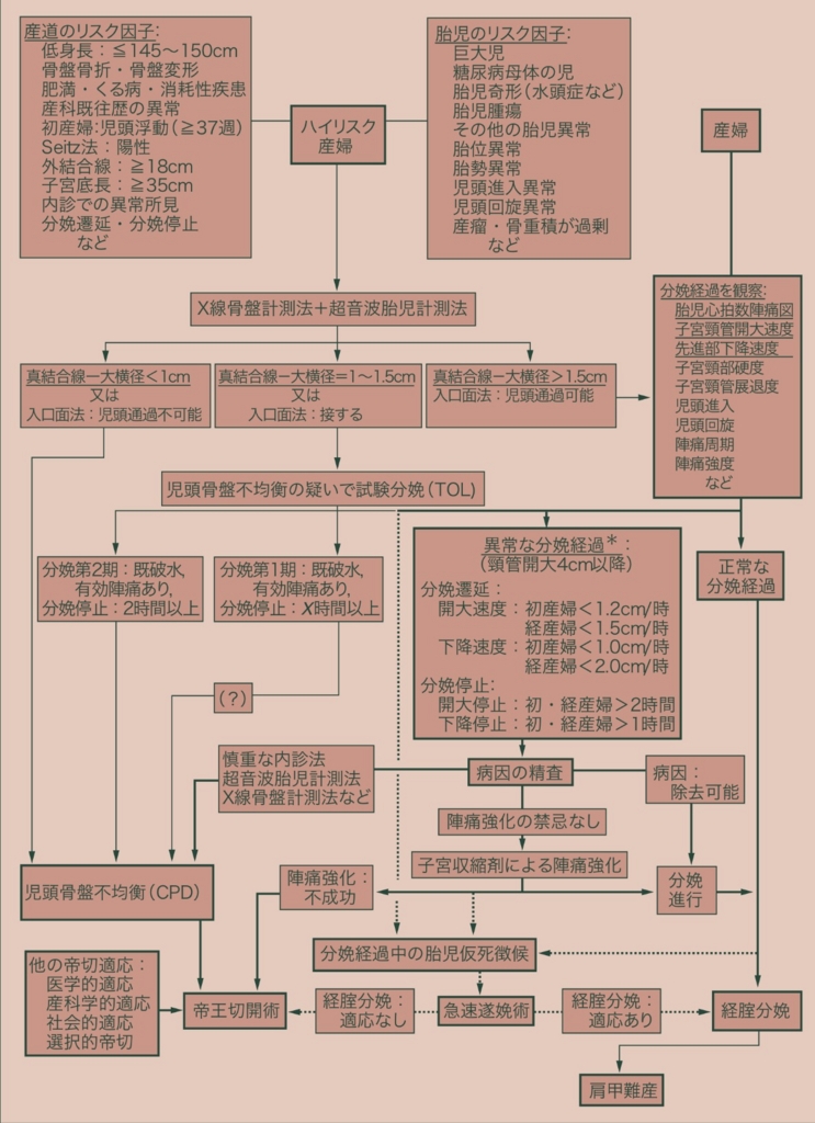 肩甲難産というものを知ってしまい、恐怖に怯える - 妻ママブログ