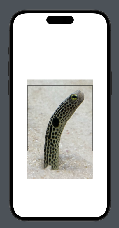 【SwiftUI】aspectRatio()メソッドに渡す.fitと.fillの違い - note-tmk