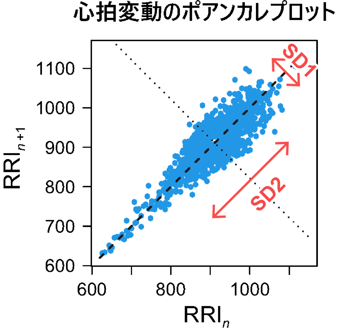 【心拍変動の数学】ポアンカレプロット解析のSD1とSD2: ポアンカレでも非線形じゃない - ケィオスの時系列解析メモランダム