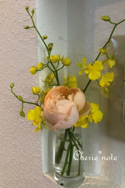 Leef の愛用品なのに・・ - Cherie* note -2018-