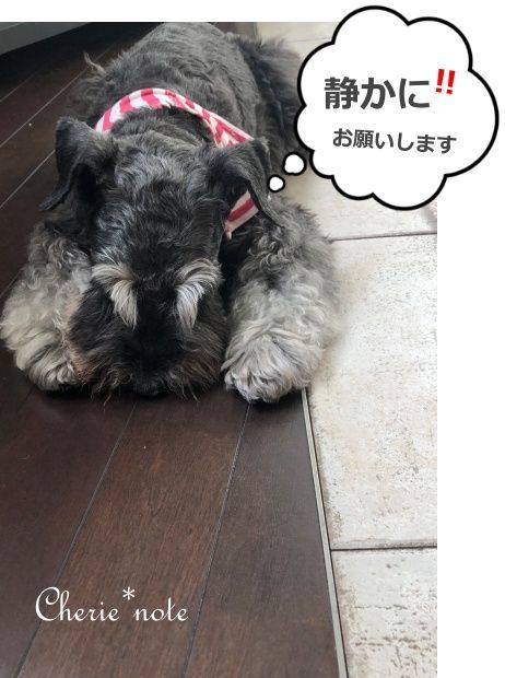 Leef の愛用品なのに・・ - Cherie* note -2018-