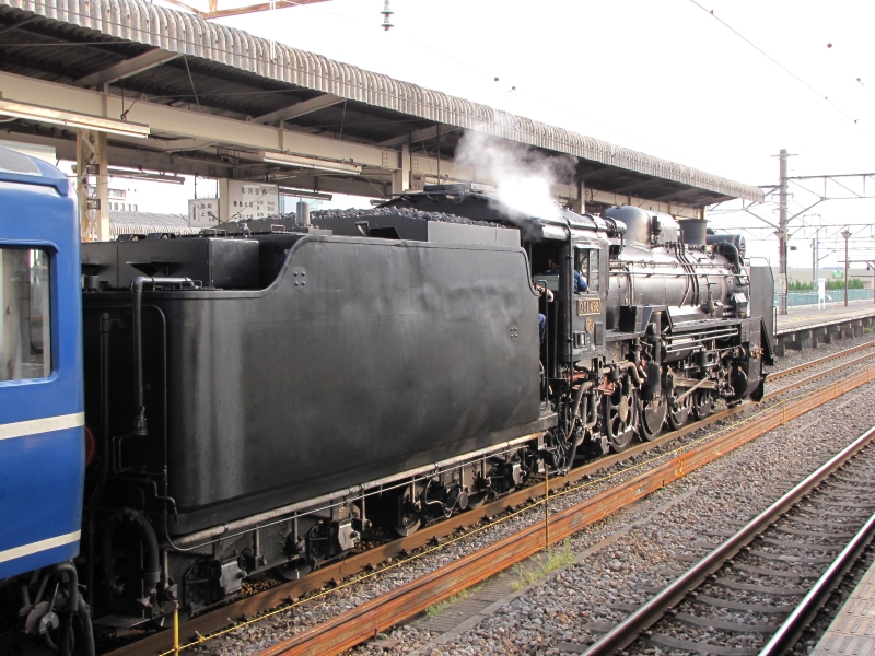 【実車】D51 -498 ／SLみなかみ号（2013/08/17） - NEW CHIBA TRAIN NET