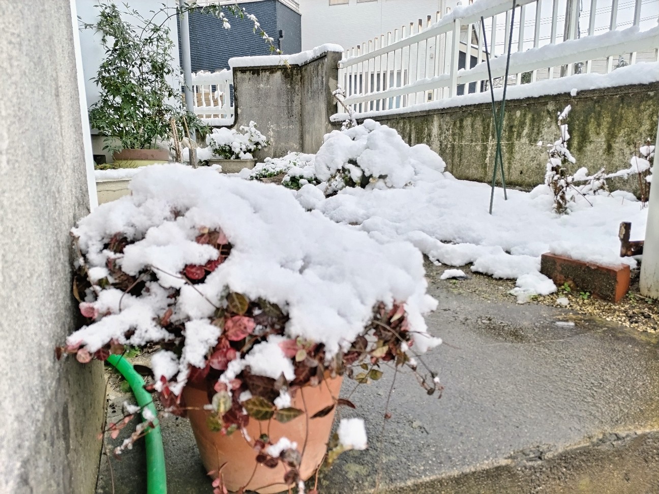 初雪 2025 - チエちゃんの昭和めもりーずpart2