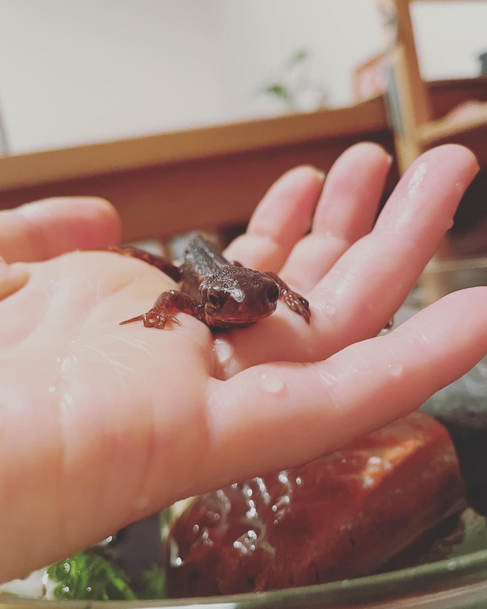 ハルコ先生に見つめられました♡♡♡ - chie's journal