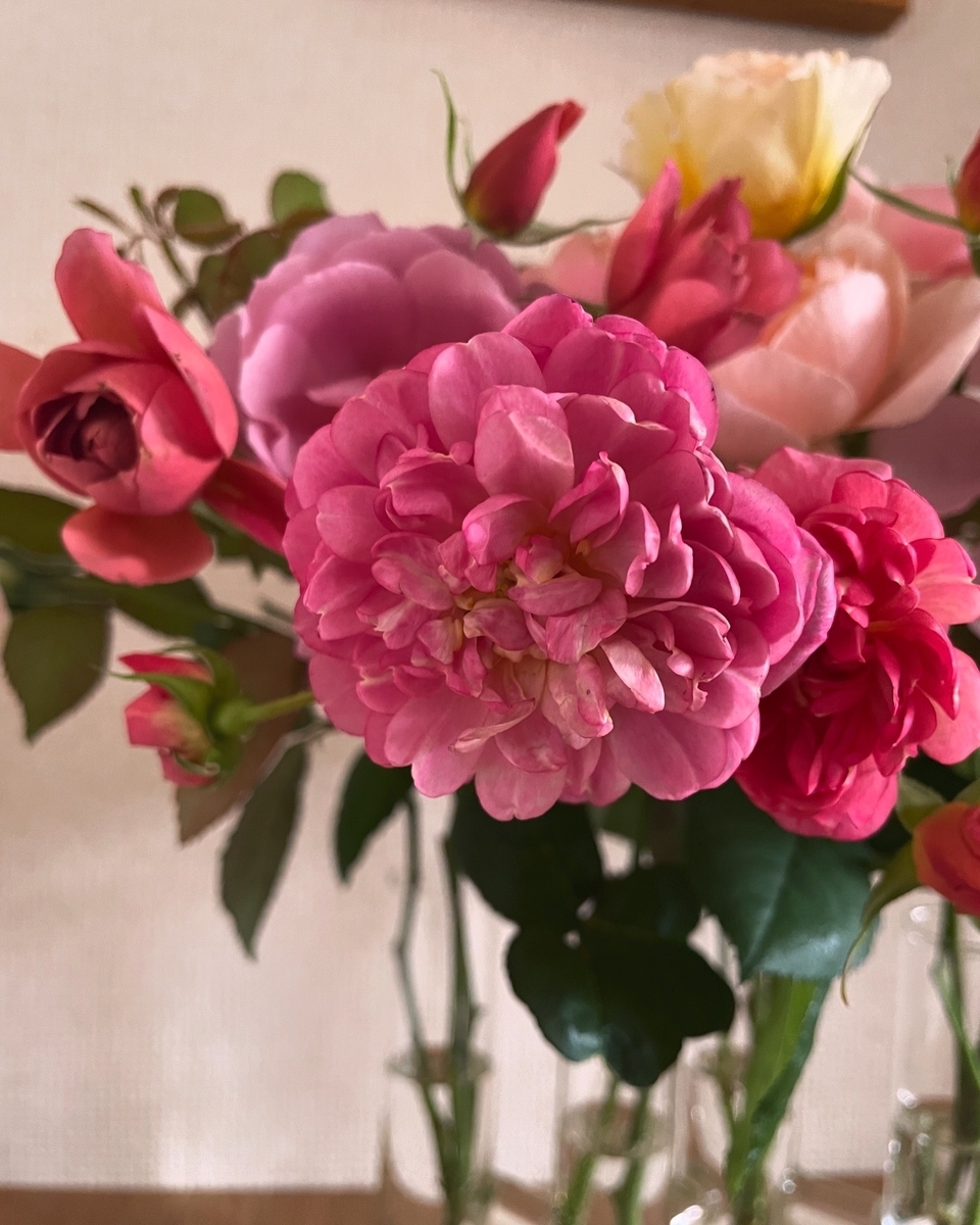 微かに甘い素敵な香り - chie's journal