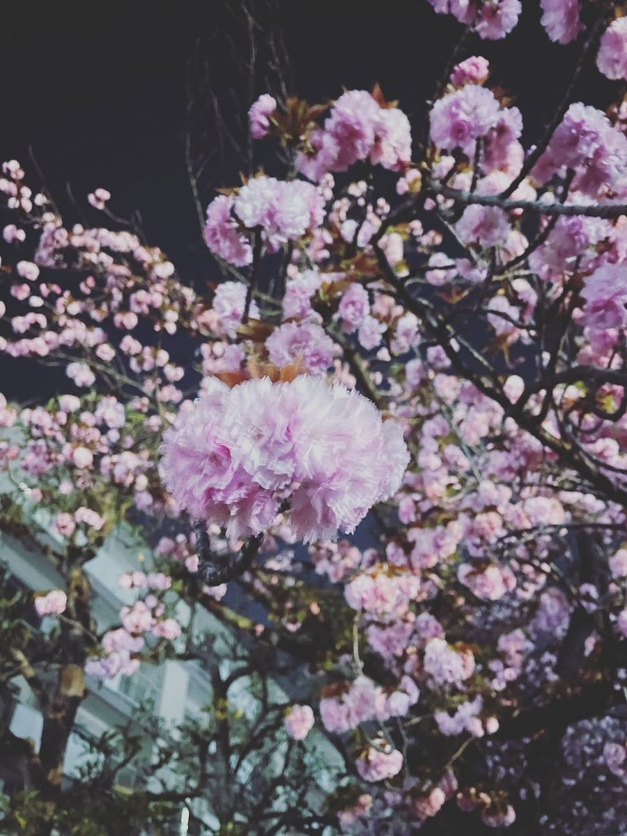 いい季節 - chie's journal