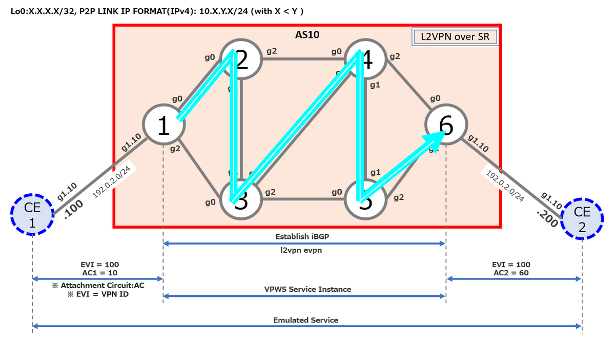 Single-Domain SR-TE その9（EVPN VPWS Preferred Path over SR-TE Policy ...