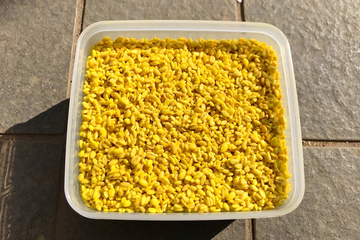 コスパ最強でよく釣れる！加工オキアミの作り方～そして新たな挑戦へ！～ - 釣りバカ クロダイ日報＠千葉