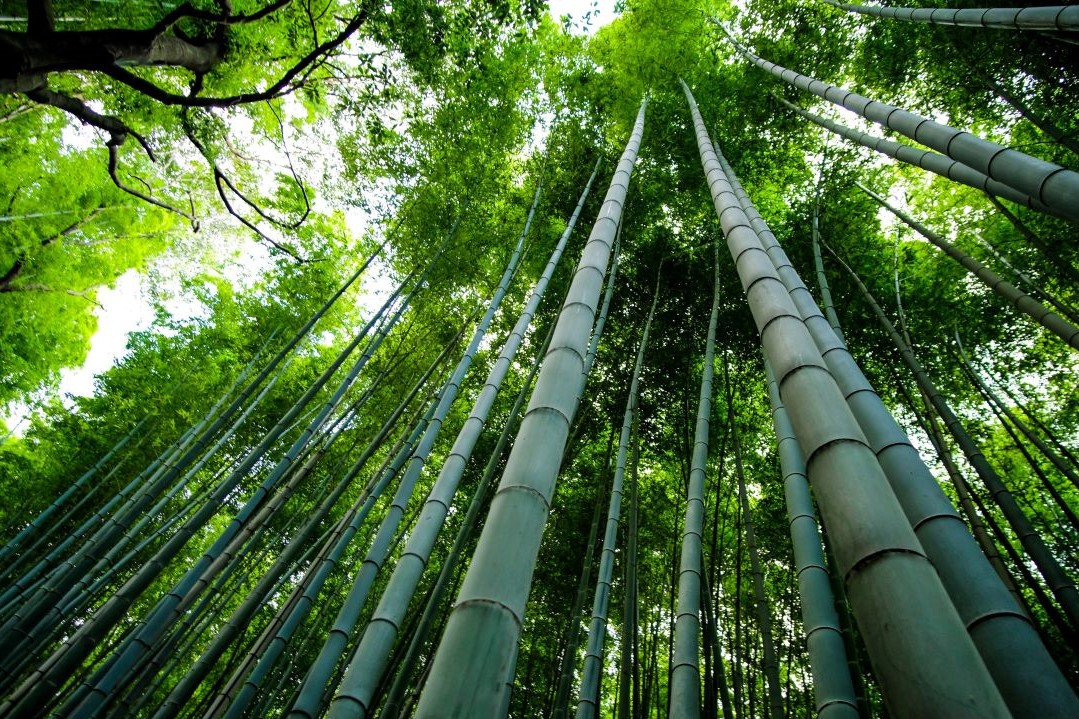 日本のお土産★歌舞伎 十代目松本幸四郎 襲名記念フィギュアと隈取り根付 - ハグルのリーメントミニチュアブログ