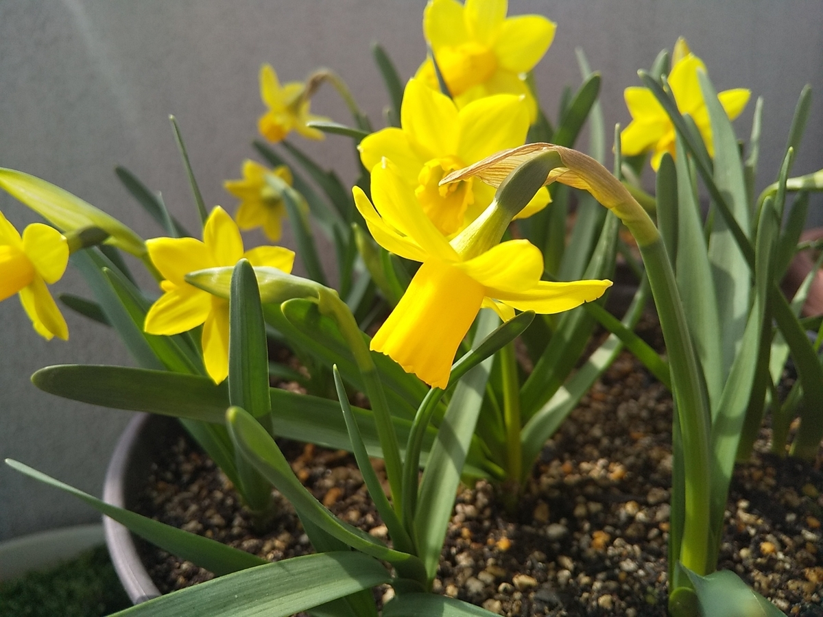 iichi 特集ページに掲載して頂きました - ずっとひとやすみ