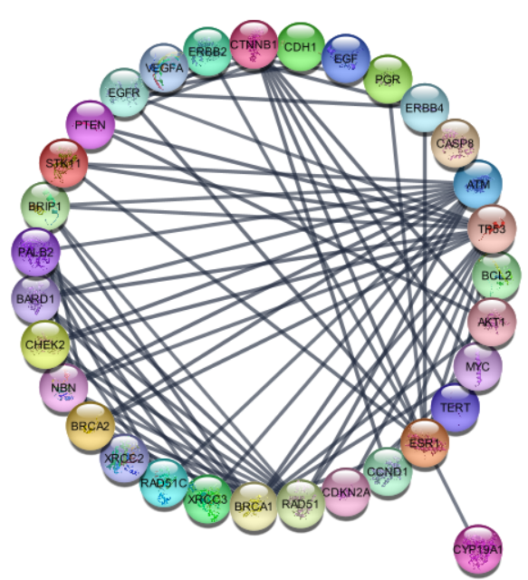 【R】Cytoscapeで遊んでみたい - いろいろ倉庫
