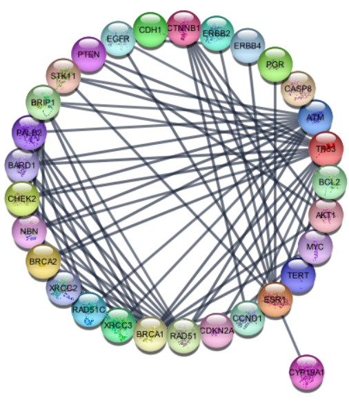 【R】Cytoscapeで遊んでみたい - いろいろ倉庫
