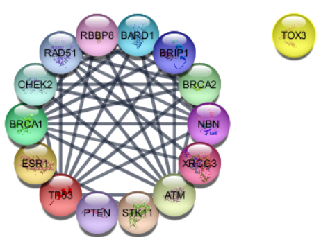 【R】Cytoscapeで遊んでみたい - いろいろ倉庫