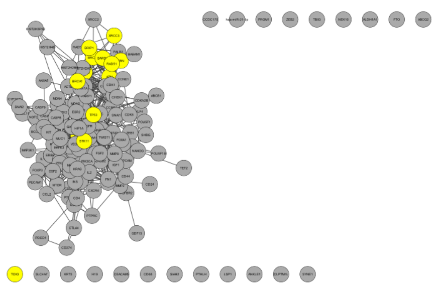 【R】Cytoscapeで遊んでみたい② - いろいろ倉庫