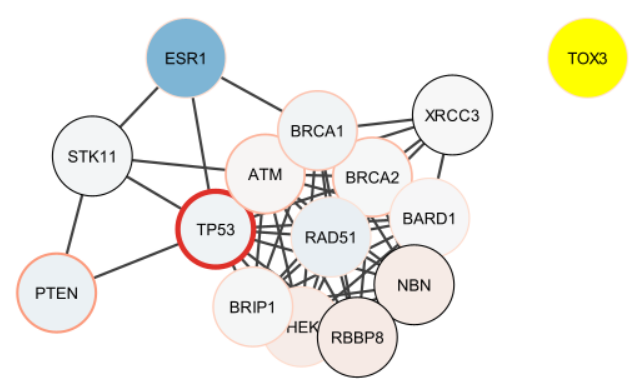 【R】Cytoscapeで遊んでみたい② - いろいろ倉庫