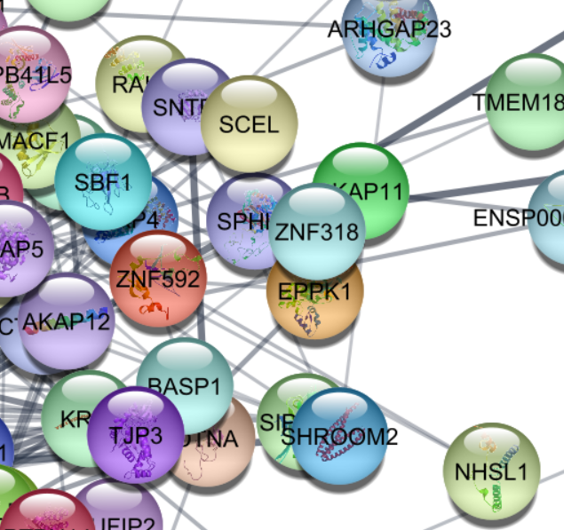 【R】Cytoscapeで遊んでみたい③ - いろいろ倉庫