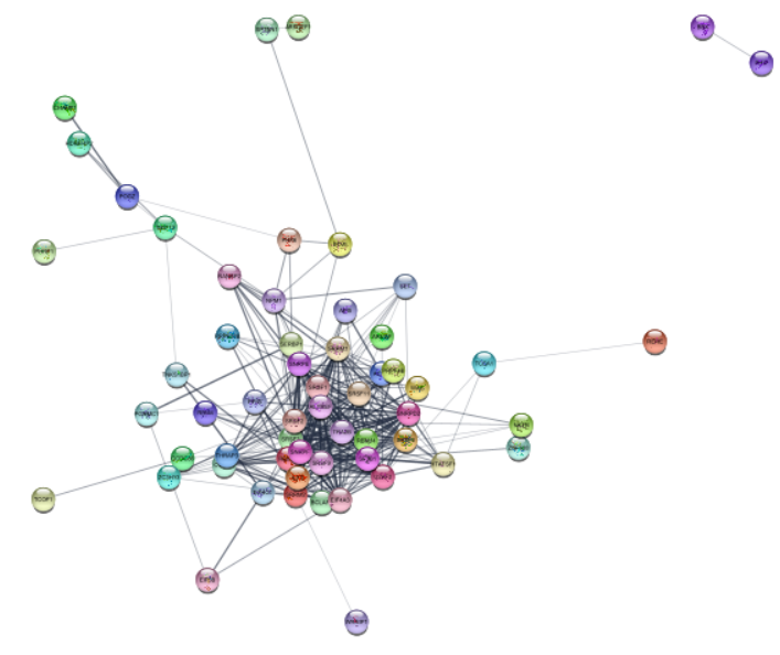【R】Cytoscapeで遊んでみたい③ - いろいろ倉庫