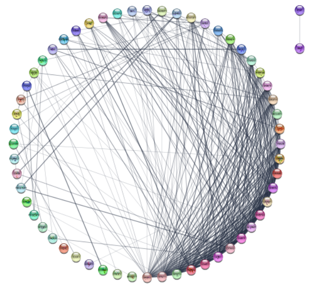 【R】Cytoscapeで遊んでみたい③ - いろいろ倉庫