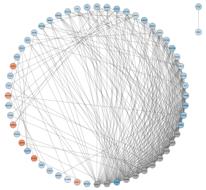 【R】Cytoscapeで遊んでみたい③ - いろいろ倉庫
