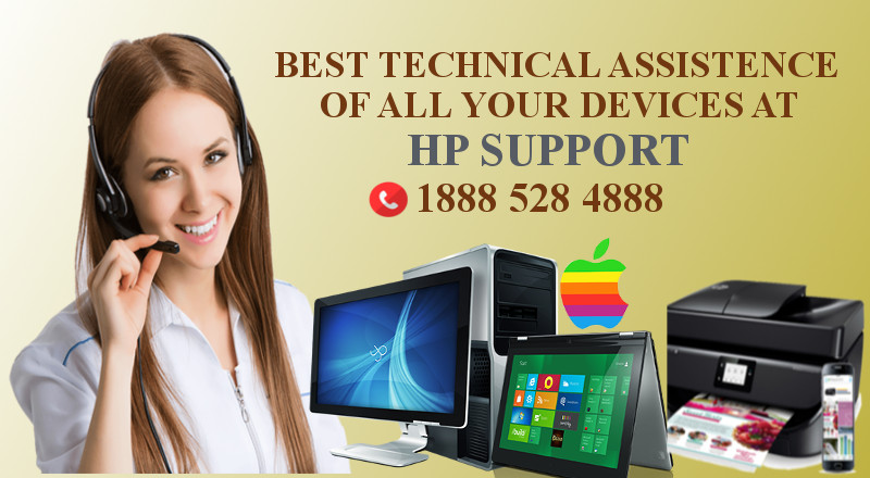 HP Support Provides Noteworthy Support for All HP Devices ...