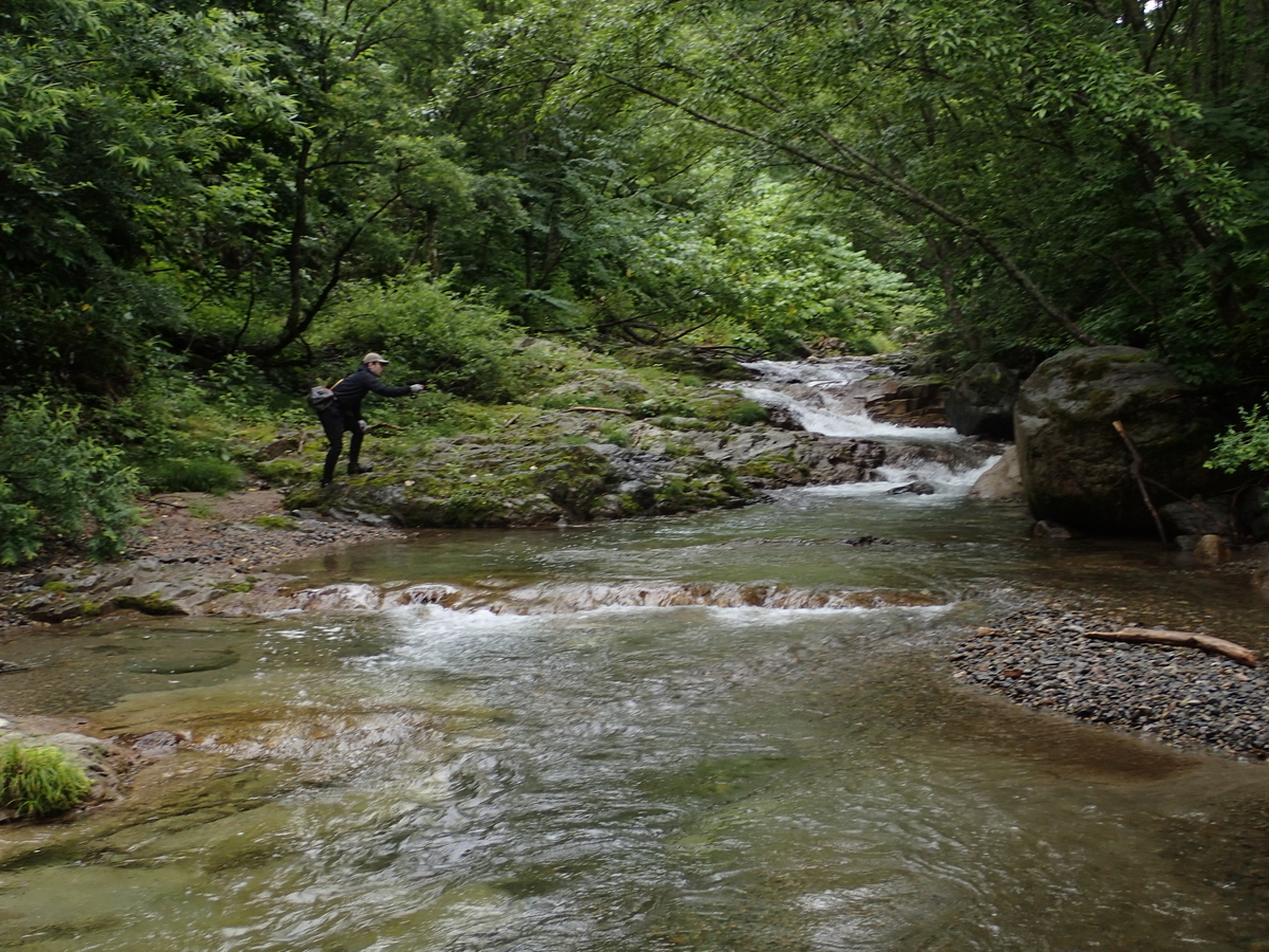 Good Loops Fly Casting School