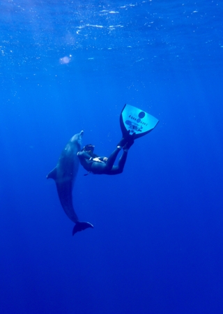 2018年9月予定 - CITROBAL MARINA