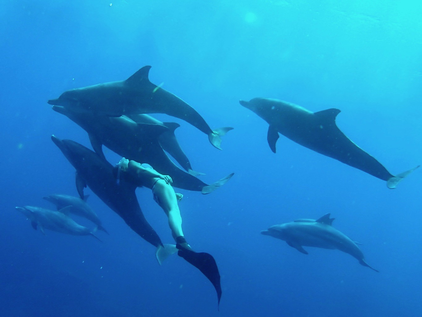 シトロバル・マリーナについて｜各レッスンについて - CITROBAL MARINA | Skindiving & Freediving School