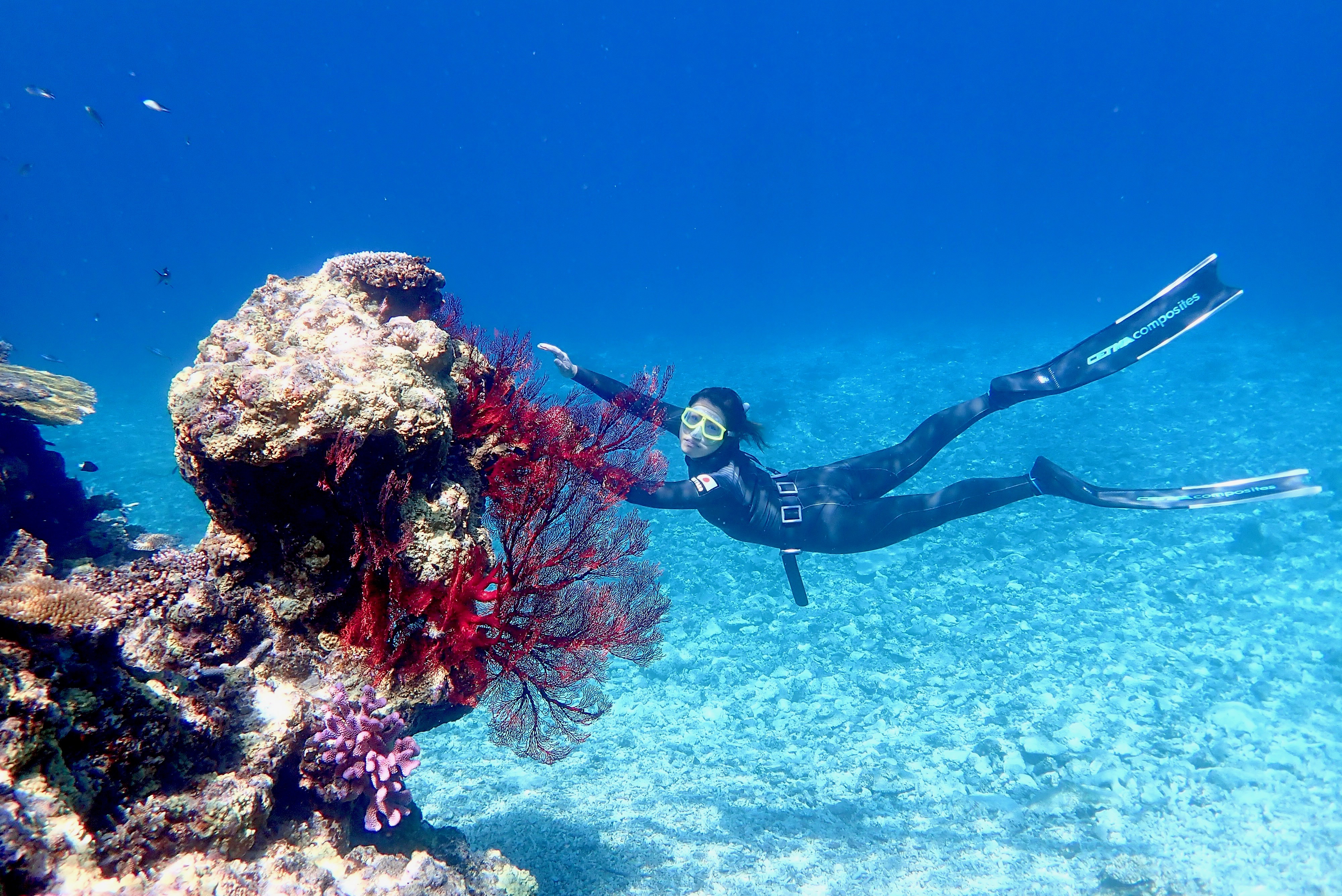 レッスンカレンダー - CITROBAL MARINA