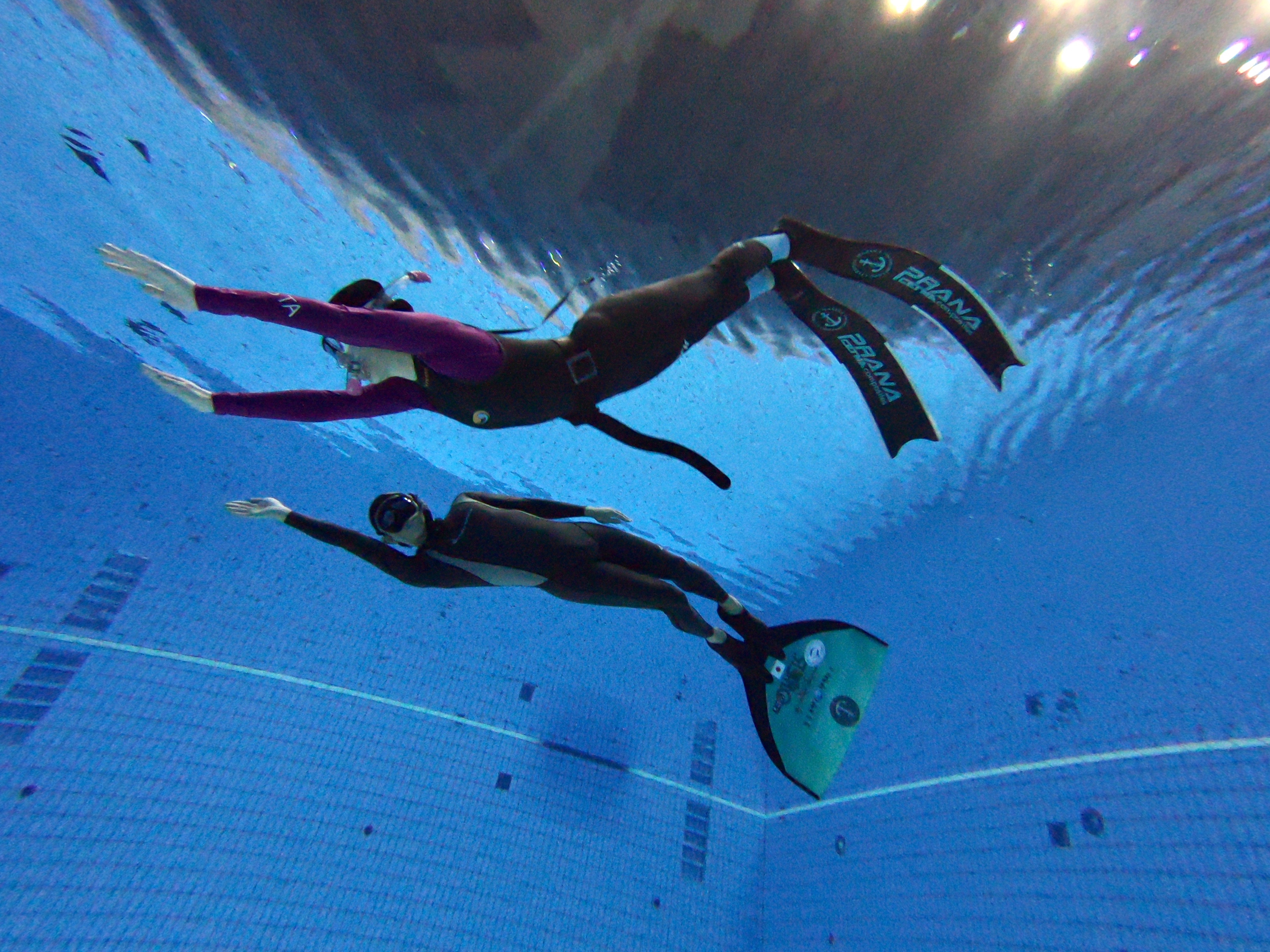 料金表 - CITROBAL MARINA