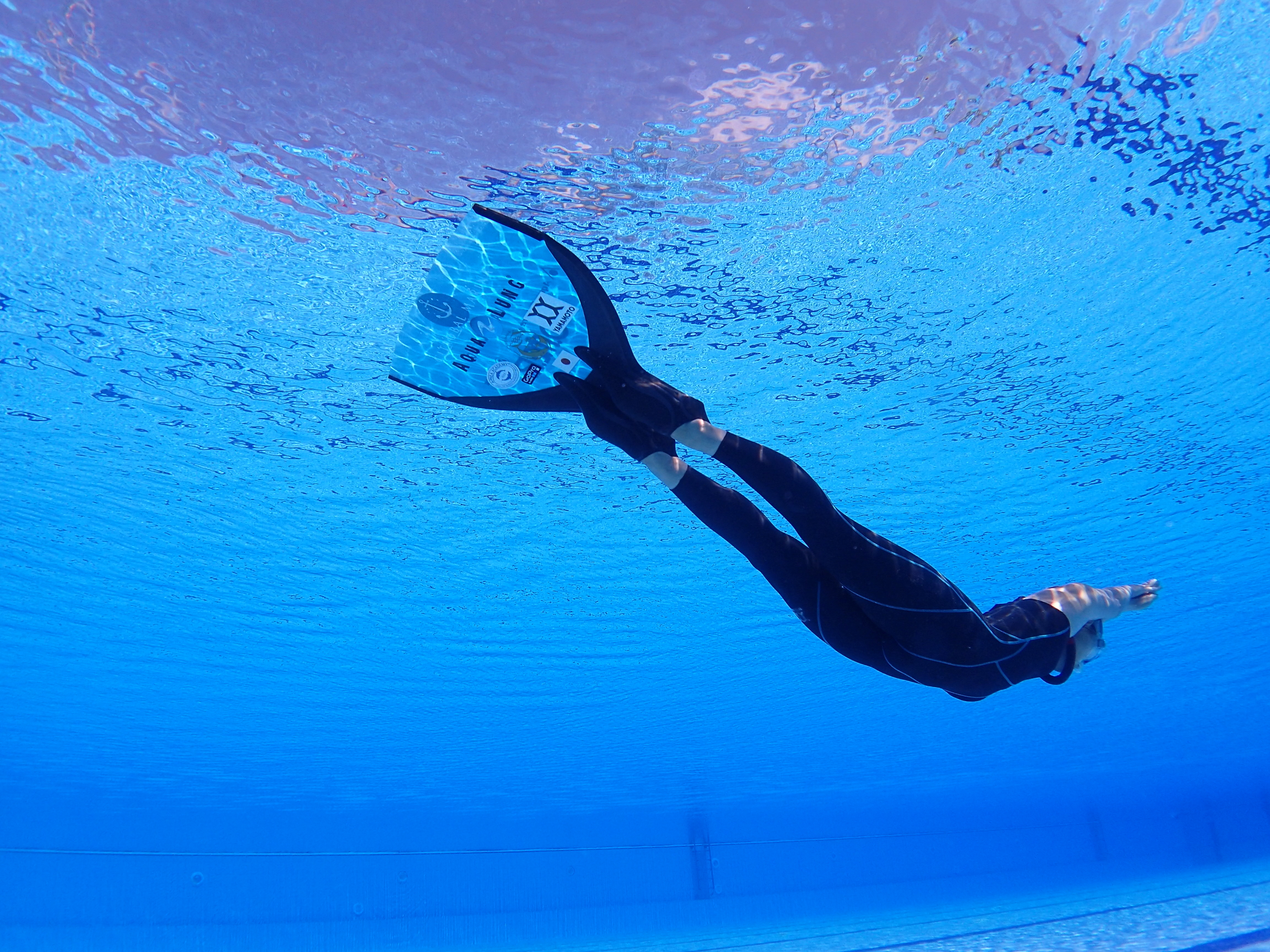 シトロバル・マリーナのこと - CITROBAL MARINA