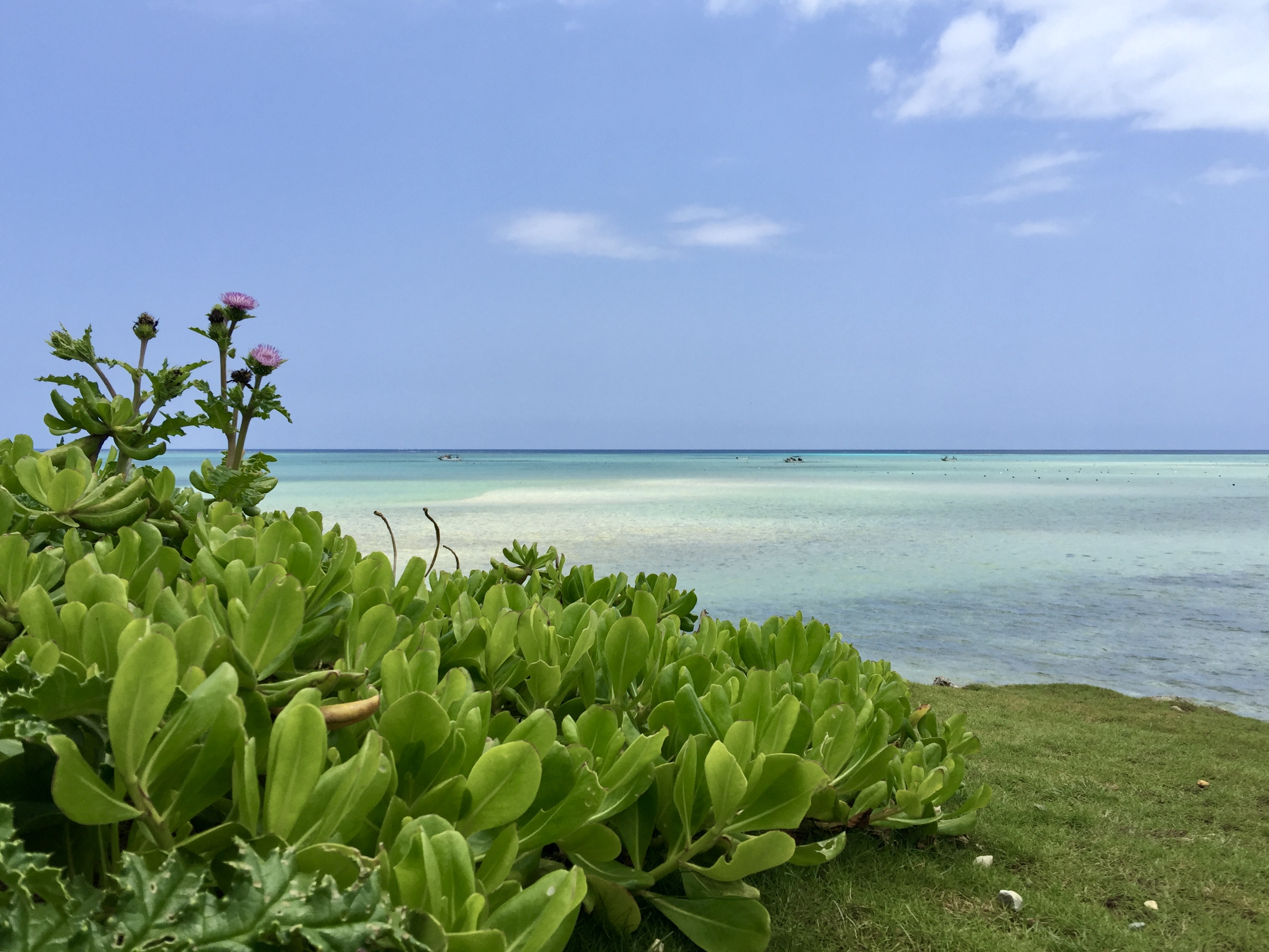 年間クラブメンバー2024 - CITROBAL MARINA