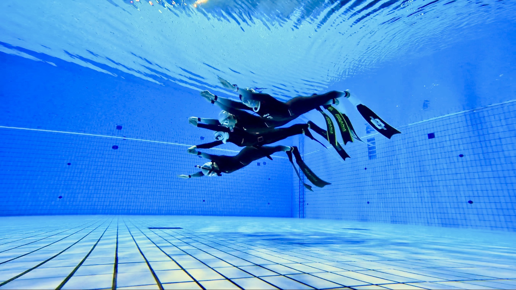 料金表 - CITROBAL MARINA