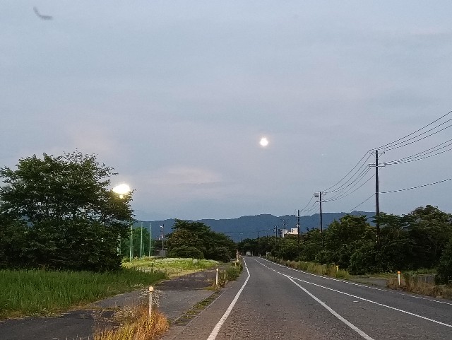 肉、肉〜 - グダグダcobamix