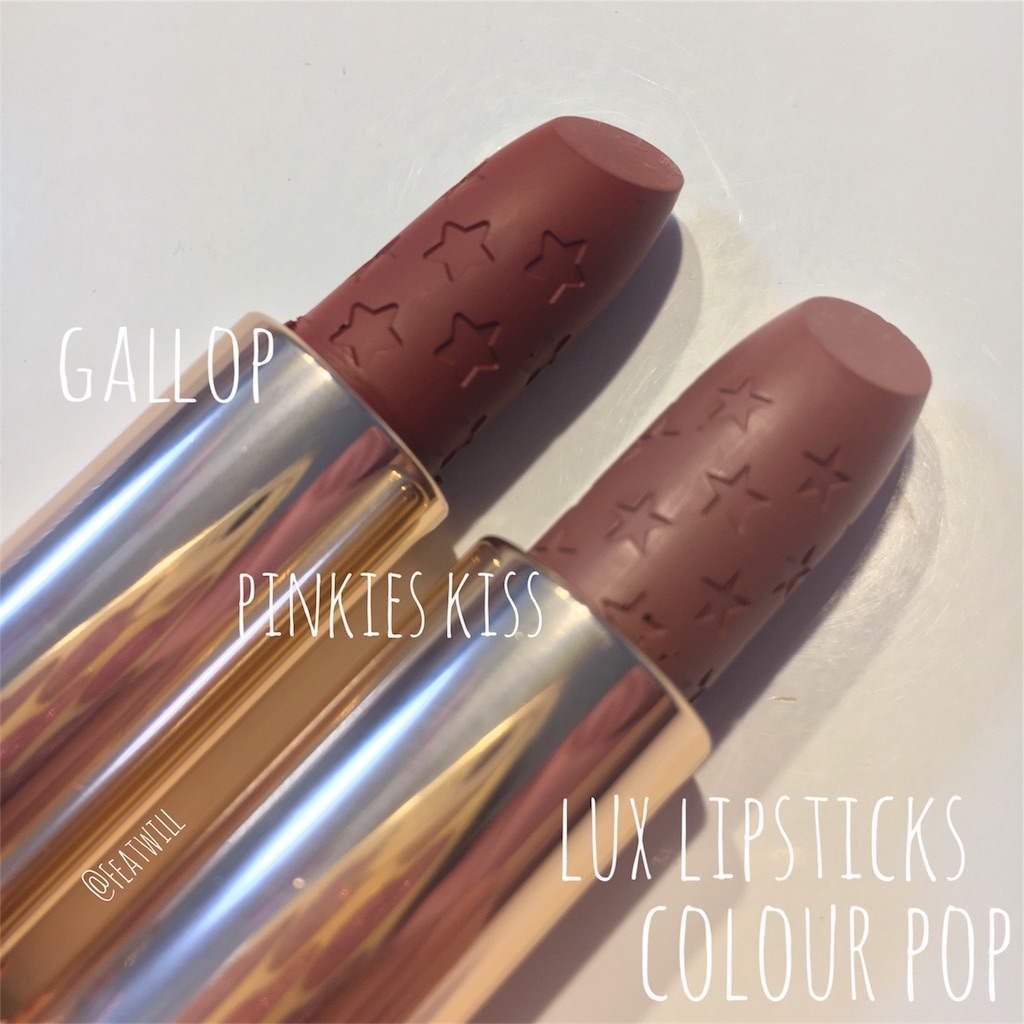 colour popが20%OFFらしいからスウォッチ貼っとく③リップ編 LUX LIP、LIPPIE STIX、ULTRA GROSSY ...