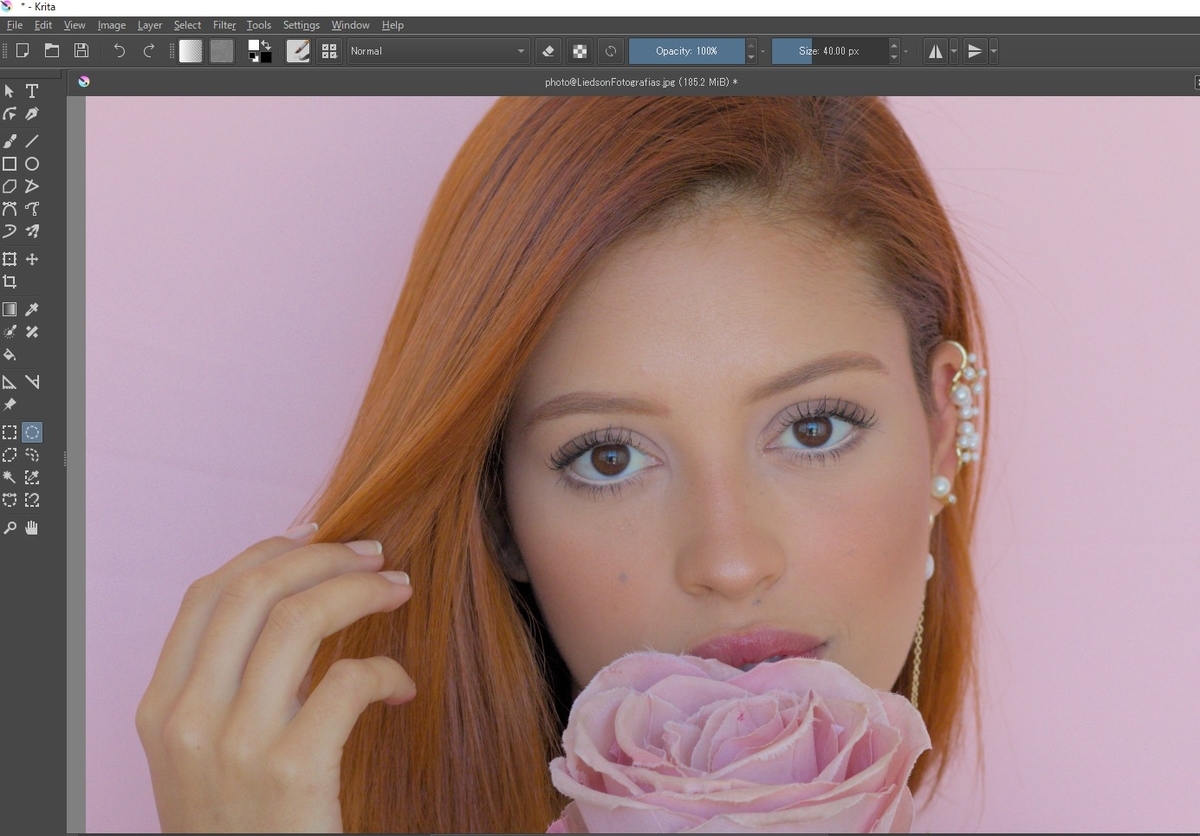 darktableでポートレートを写す（6）Krita編 - computer_philosopher’s diary