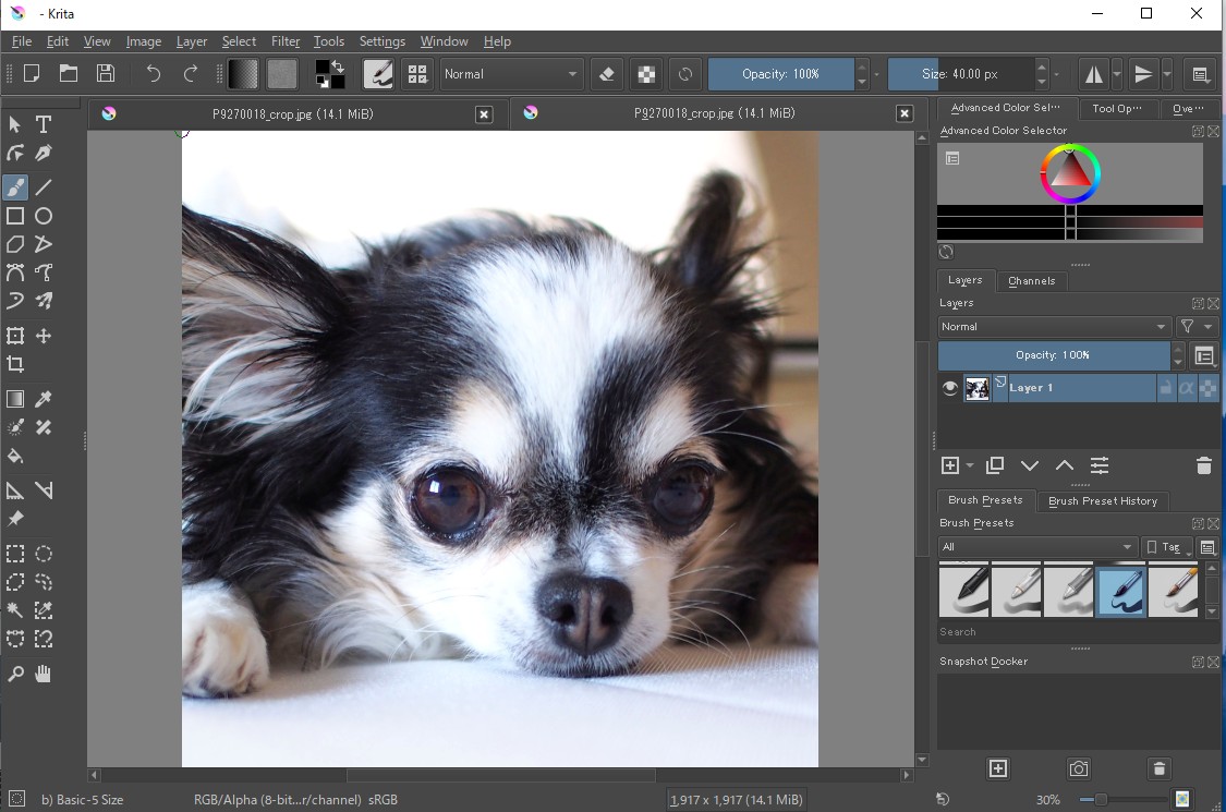darktableでポートレートを写す（9）Krita編 - computer_philosopher’s diary