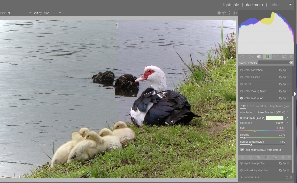 初めてのdarktable3.4（24） - computer_philosopher’s diary