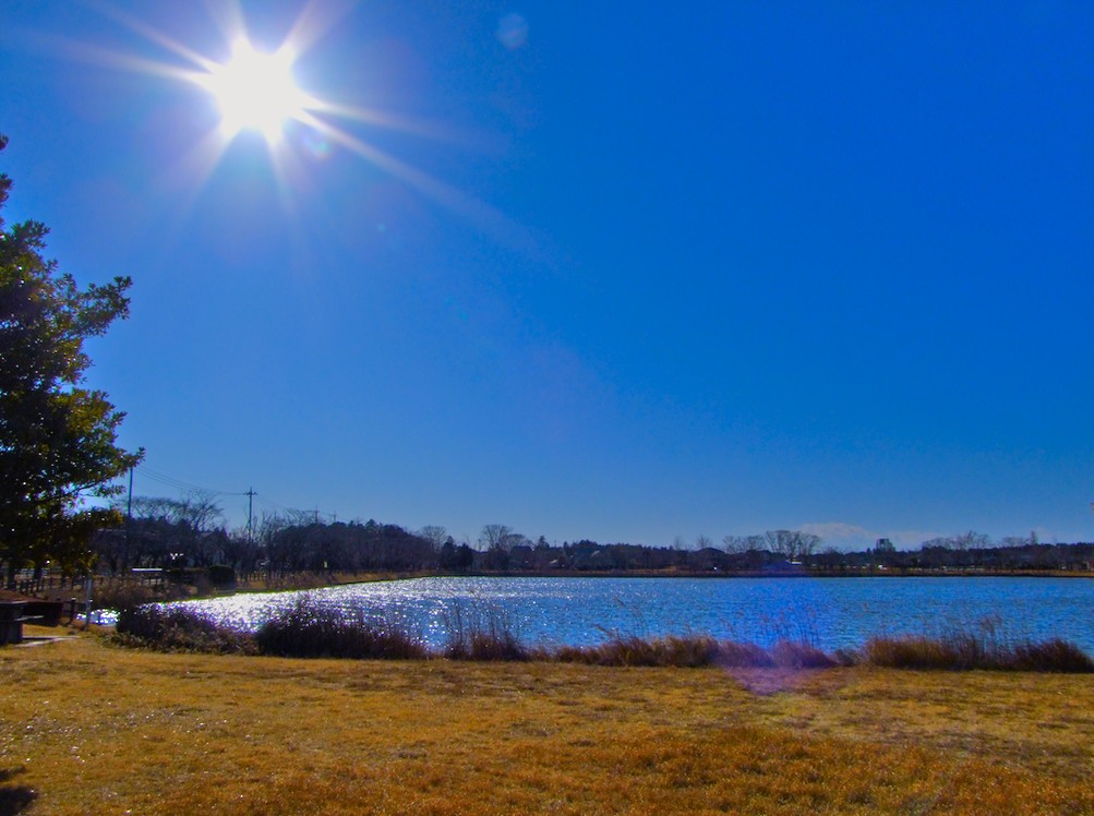 デジタルカメラの不都合な真実（3） - computer_philosopher’s diary