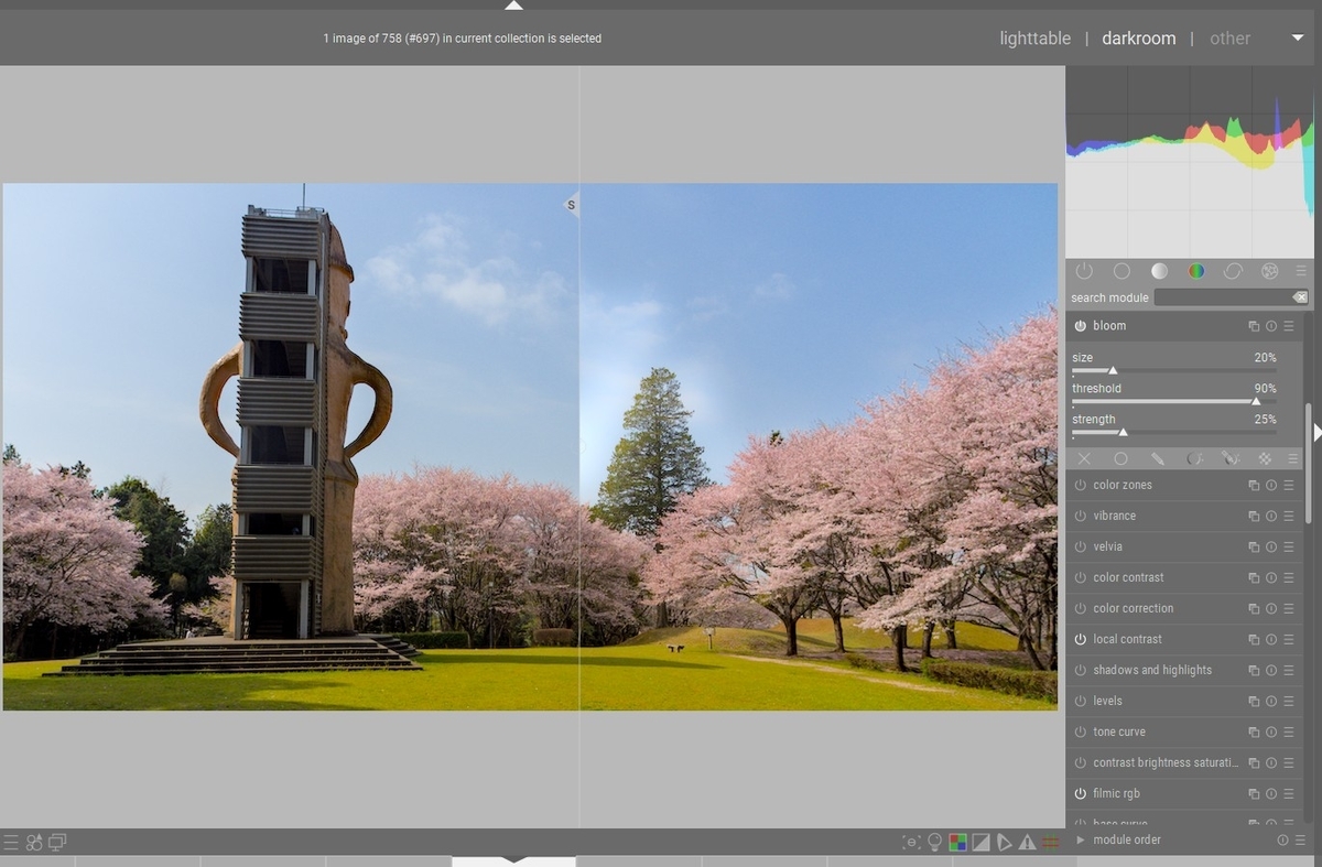 darktableでサクラを編集する - computer_philosopher’s diary
